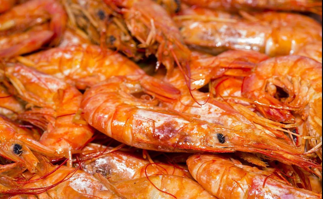 Cabeza de las gambas | Por qué no debes chupar las cabezas de las gambas y los langostinos | Las ...